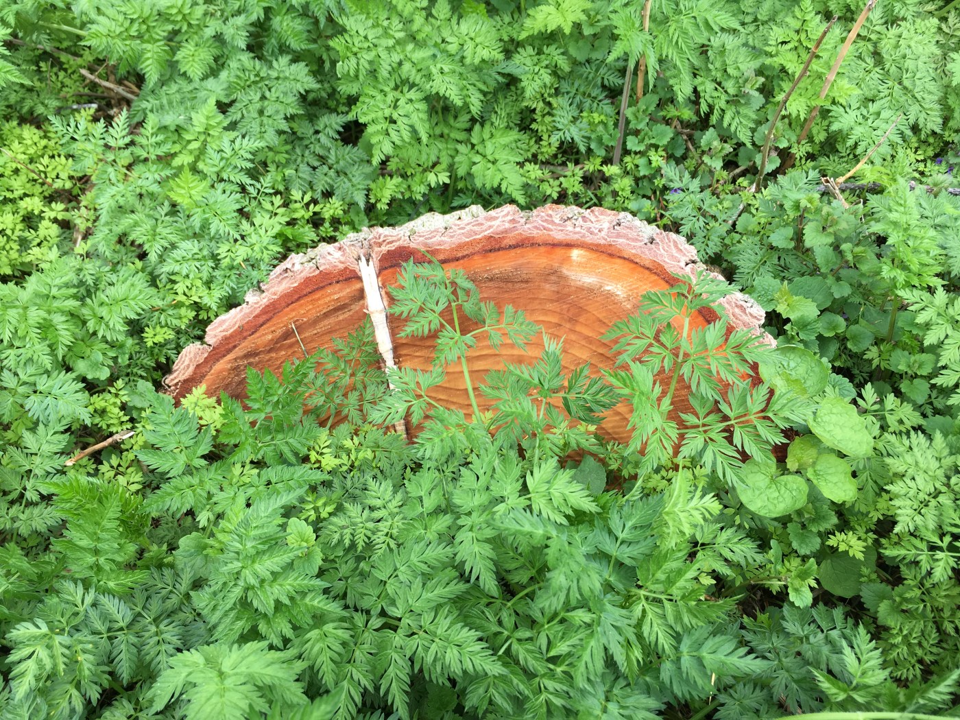 Who is the Crazy Maker in your life? | Organizational Habits