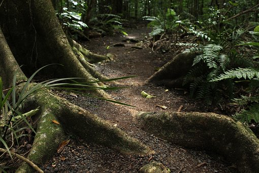 The importance of gathering | Organizational Habits